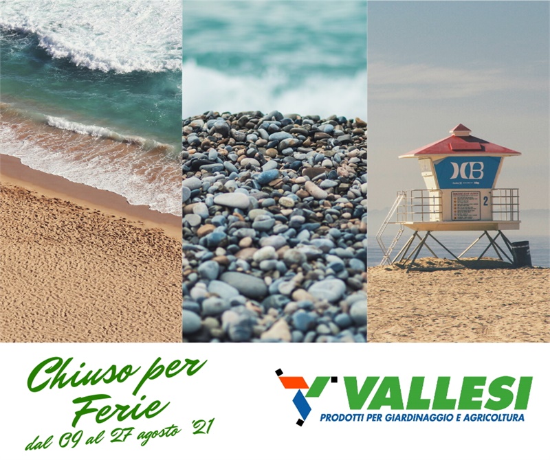 Chiusura Estiva - Blog Valgarden